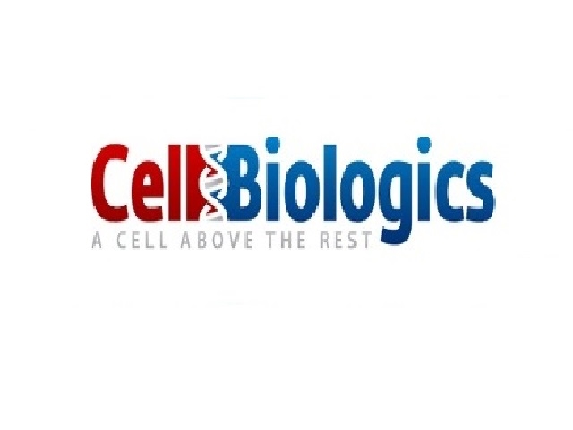 Cell Biologics-宸碩生物科技